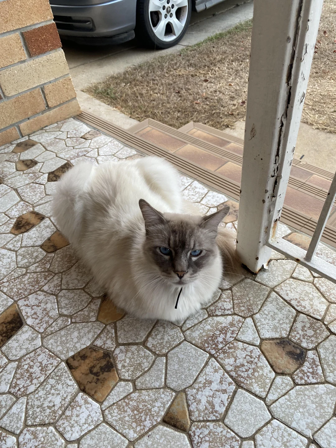 Freshly baked, full white loaf | Scrolller