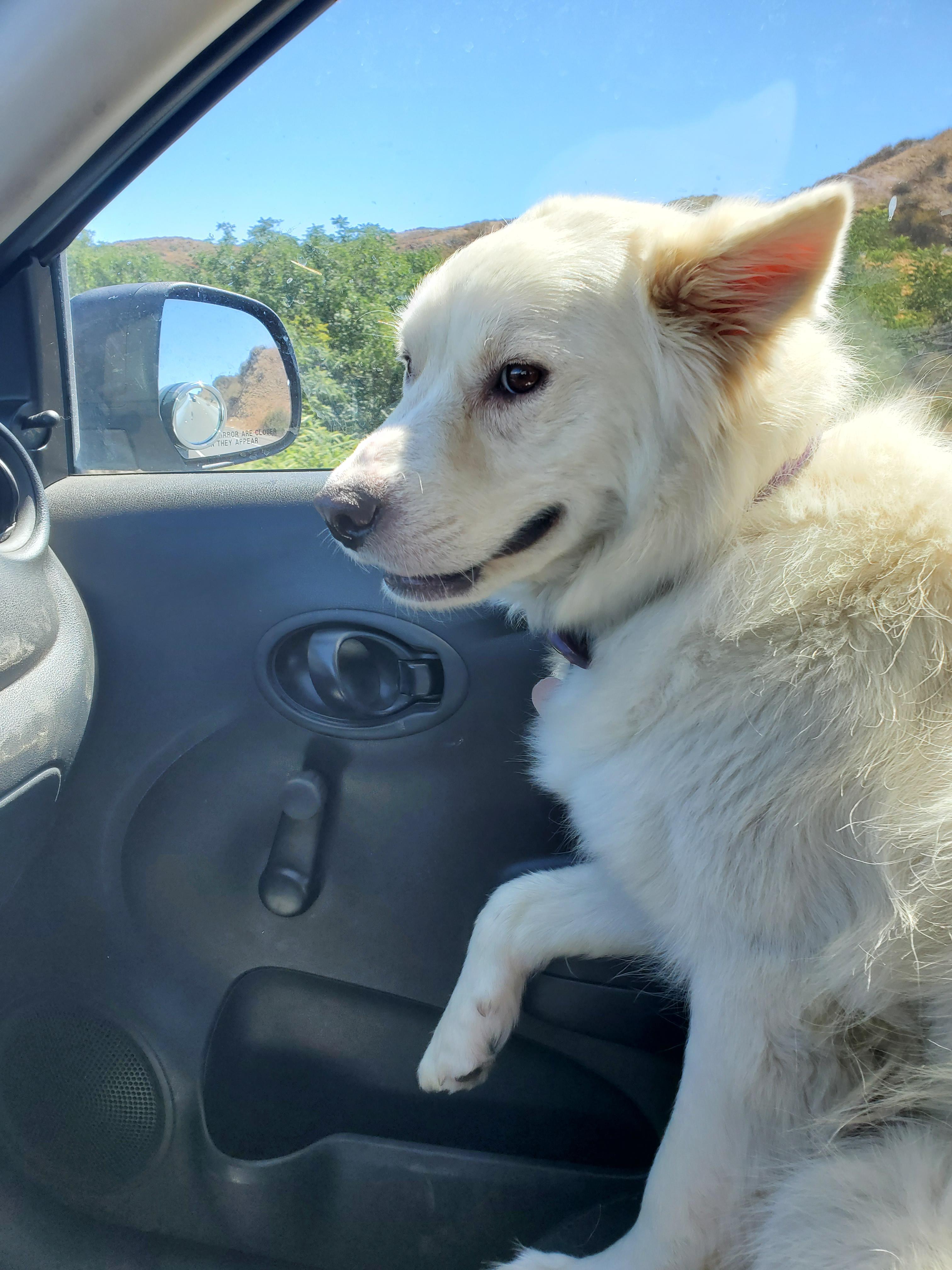 She uses the Arm rest | Scrolller