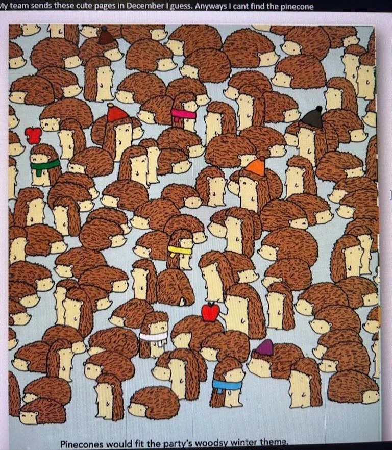 Can someone help me find the pine cone I can't find it. | Scrolller