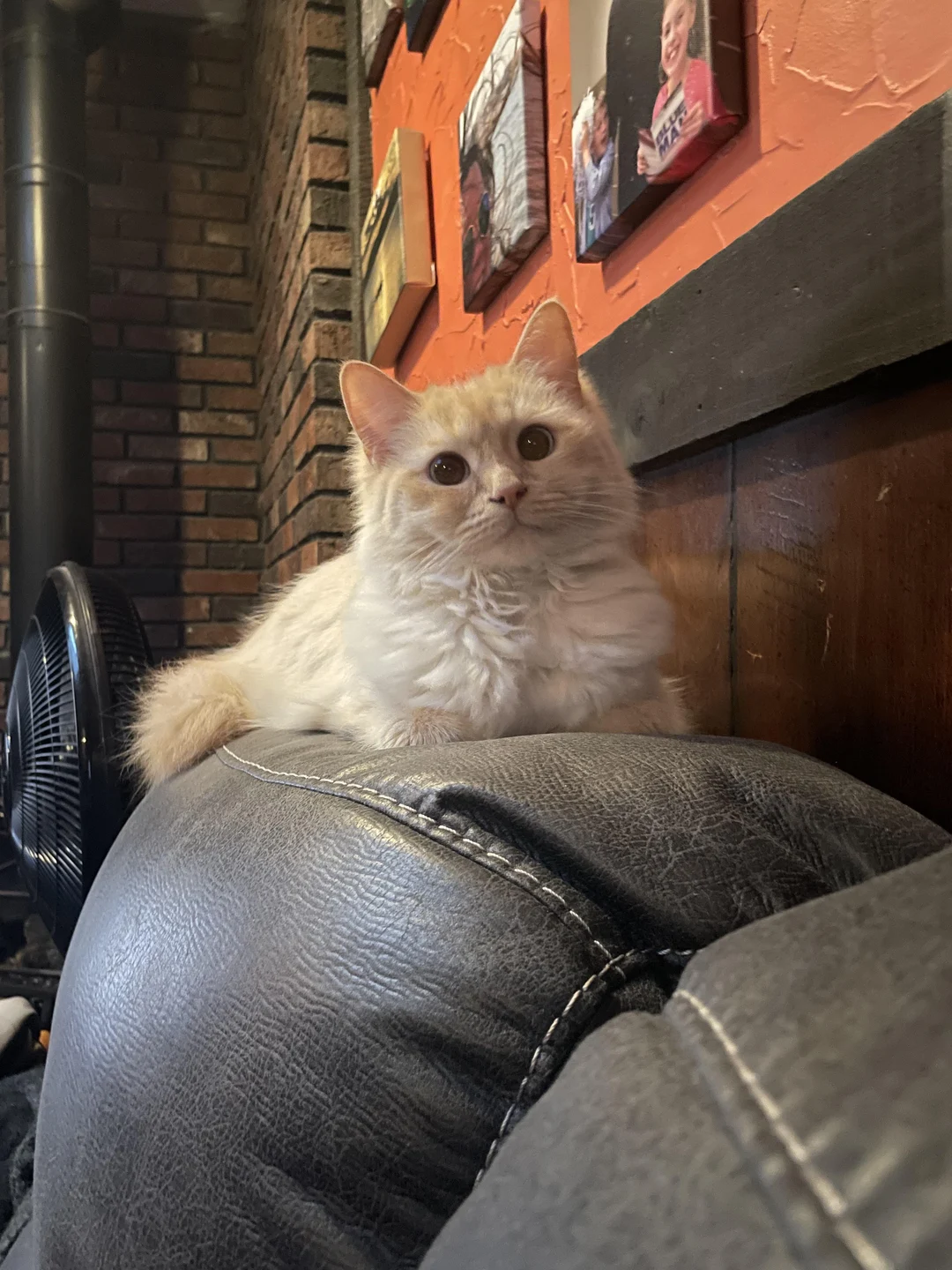 Loafed Kenny | Scrolller