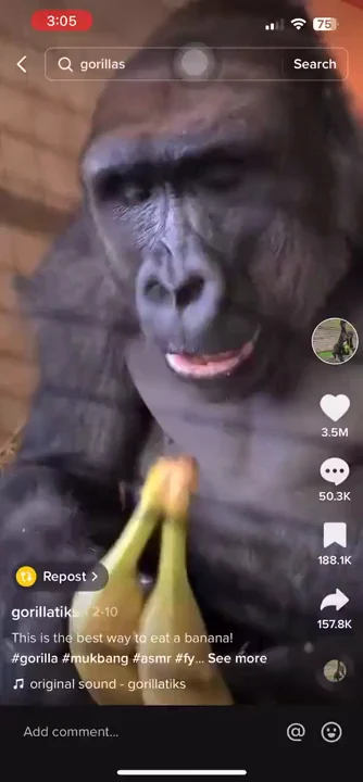 How To Eat a Banana! | Scrolller