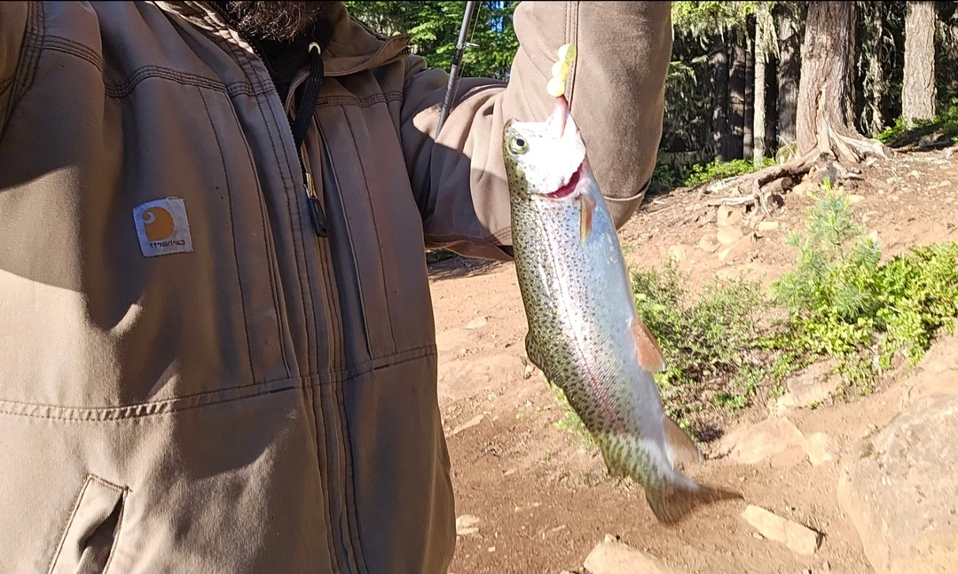 After many failed attempts, I caught my first ever fish today! Always wanted to get into fishing ...