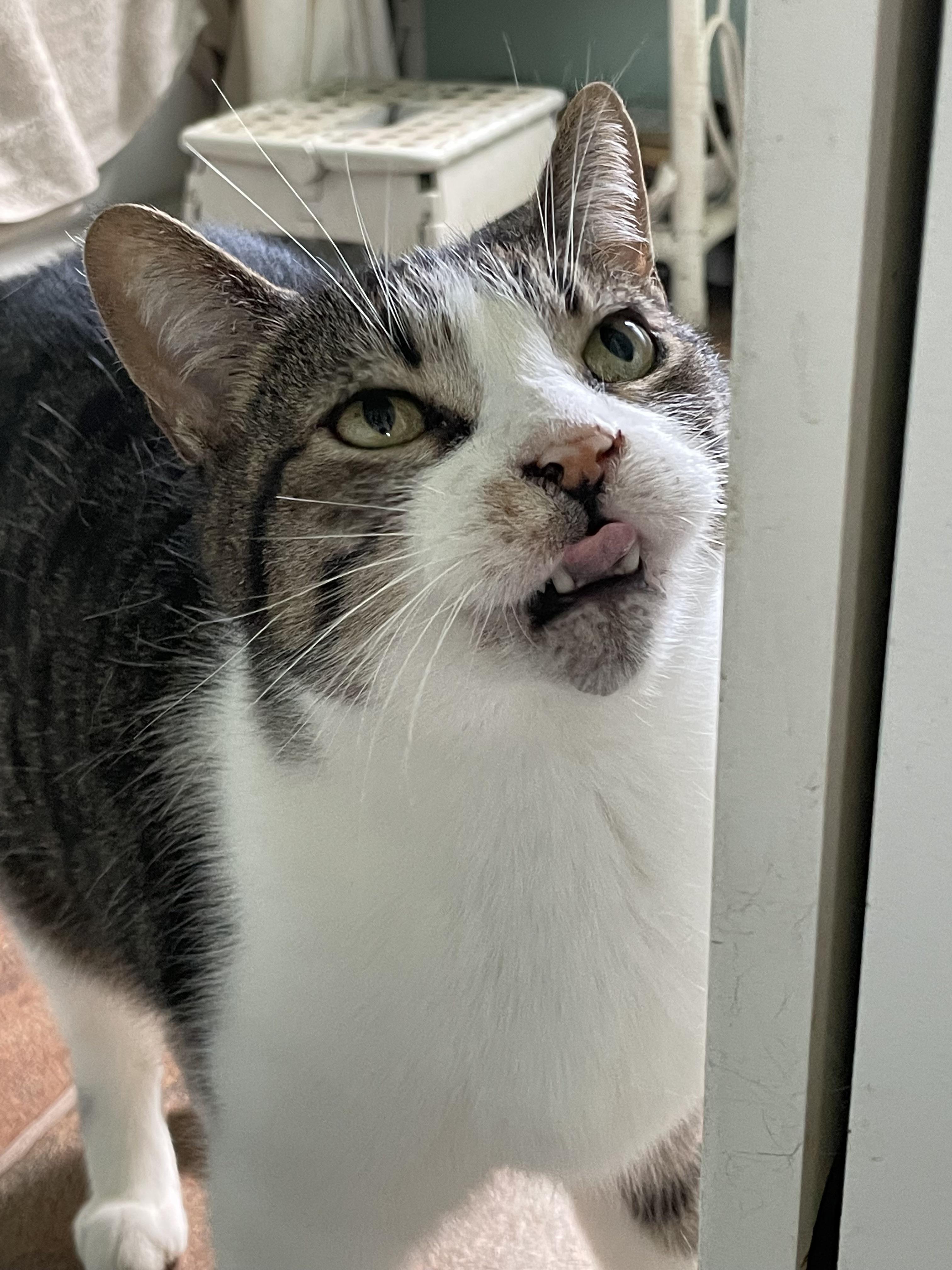 Samuel😼 | Scrolller