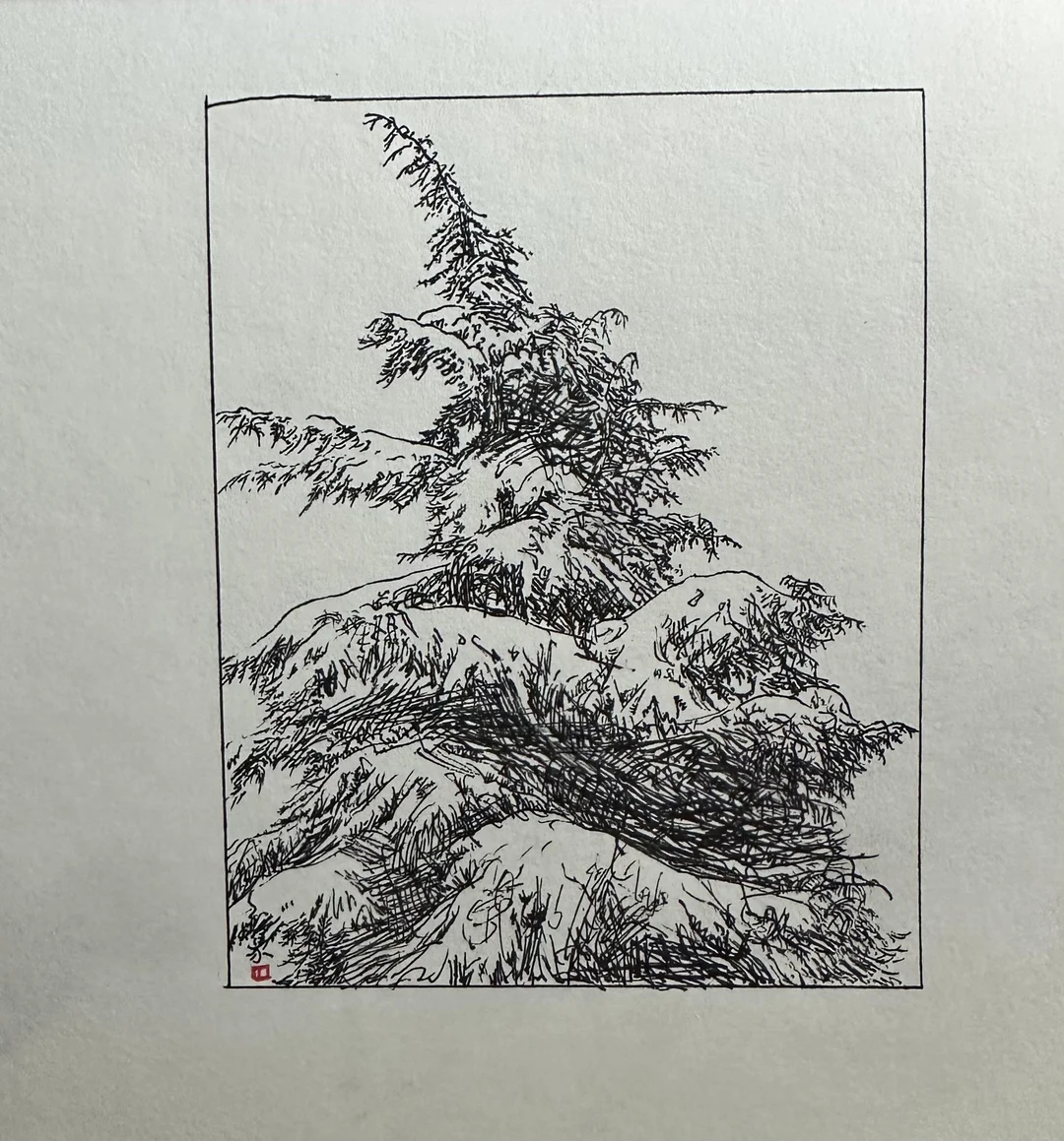 White Pine,Tinytiny,Ink,2023 | Scrolller