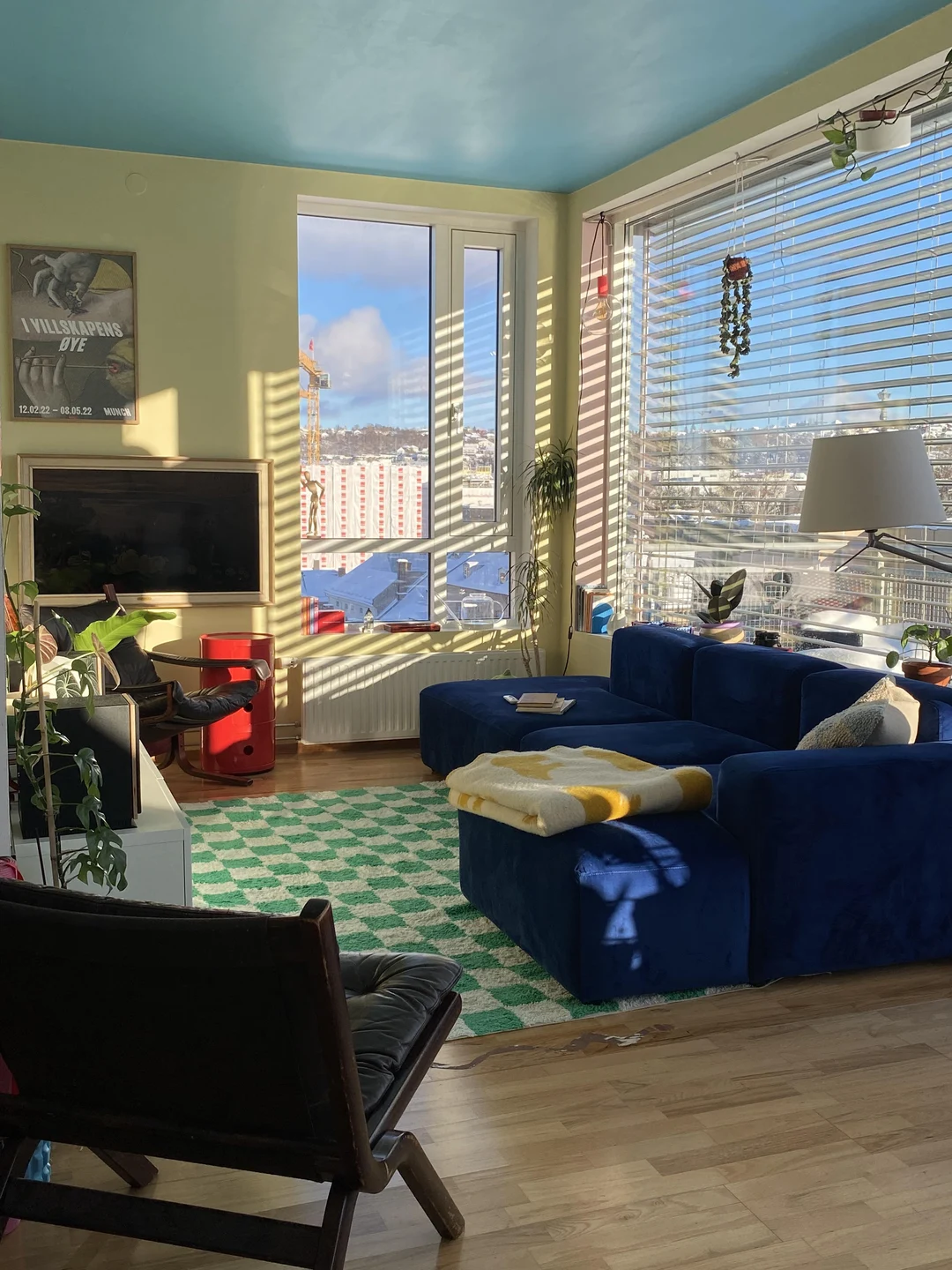 The sun hitting our living room just right ☀️ | Scrolller