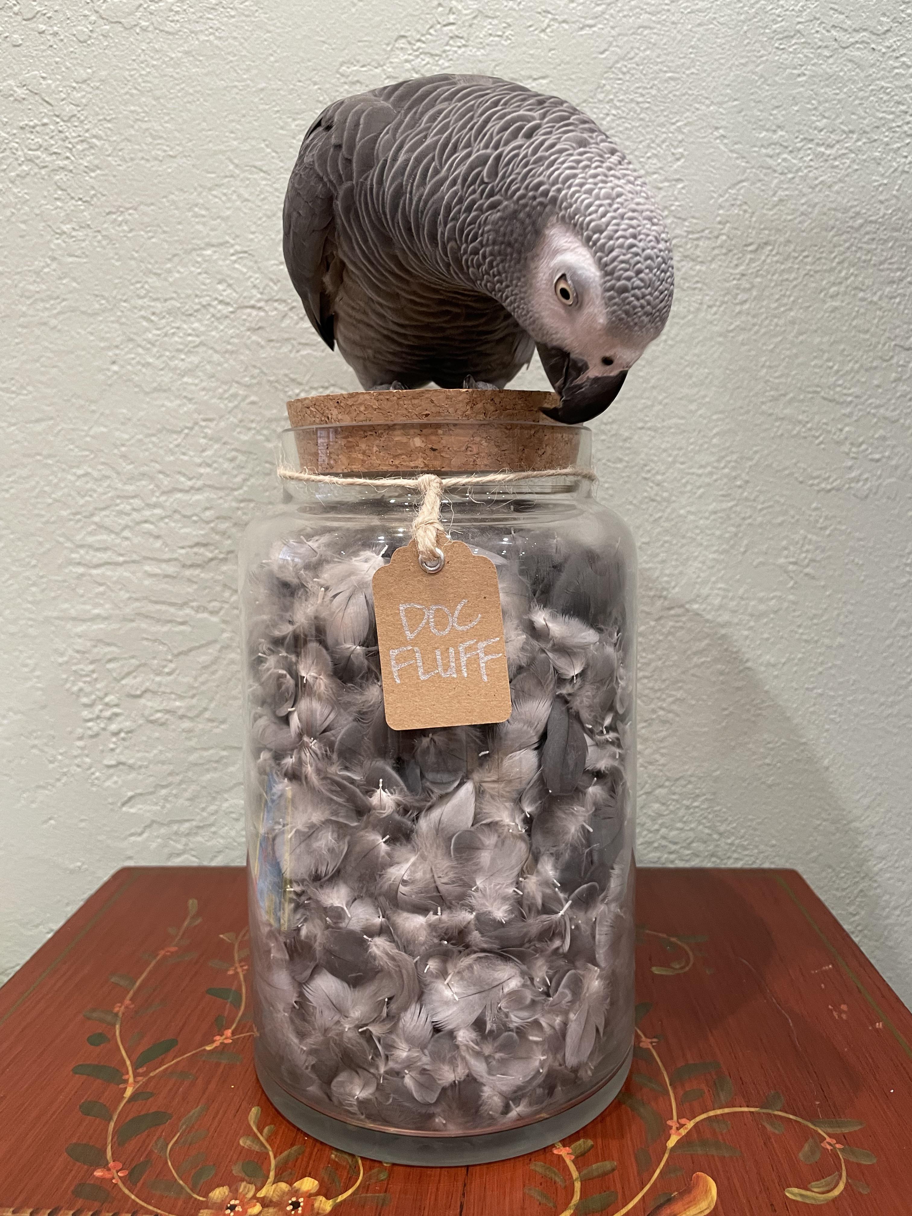 Happy 26th Hatchday Doc! | Scrolller