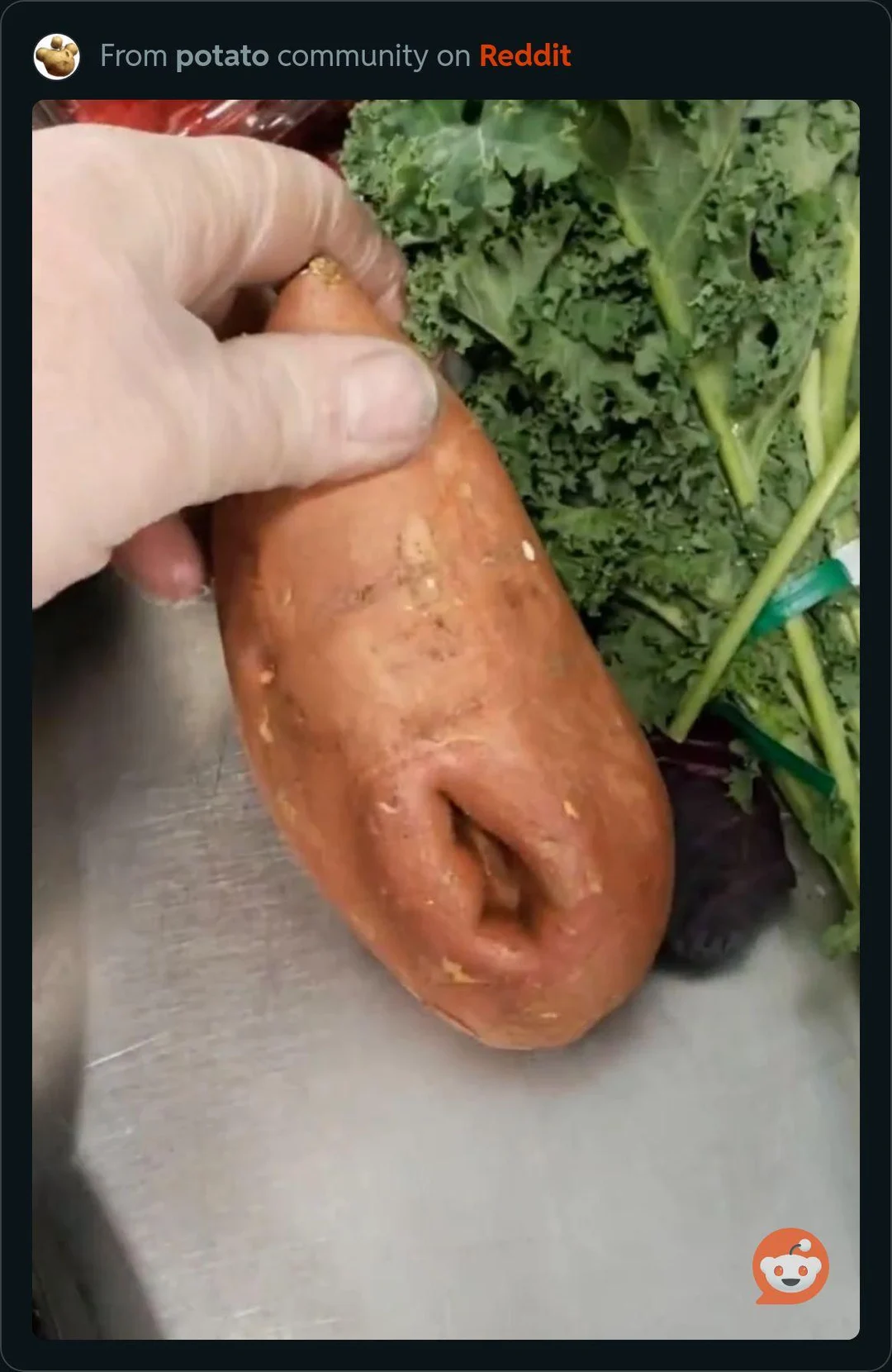 Oh so sweet potato | Scrolller