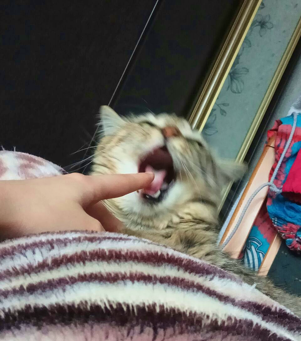 When you visit the dentist and all you're left with is the urge to bite their finger | Scrolller