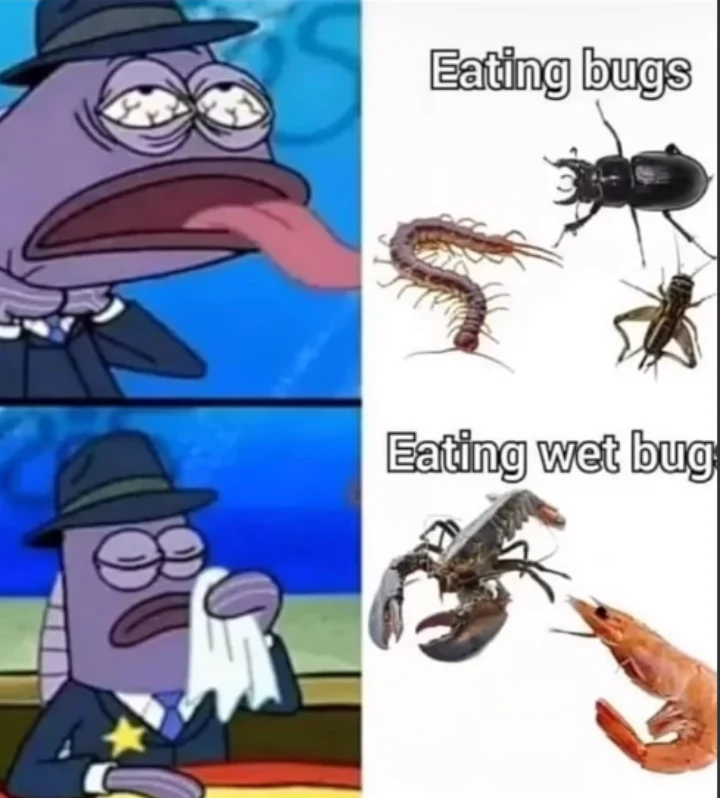 Wet bugs >>> Dry bugs | Scrolller