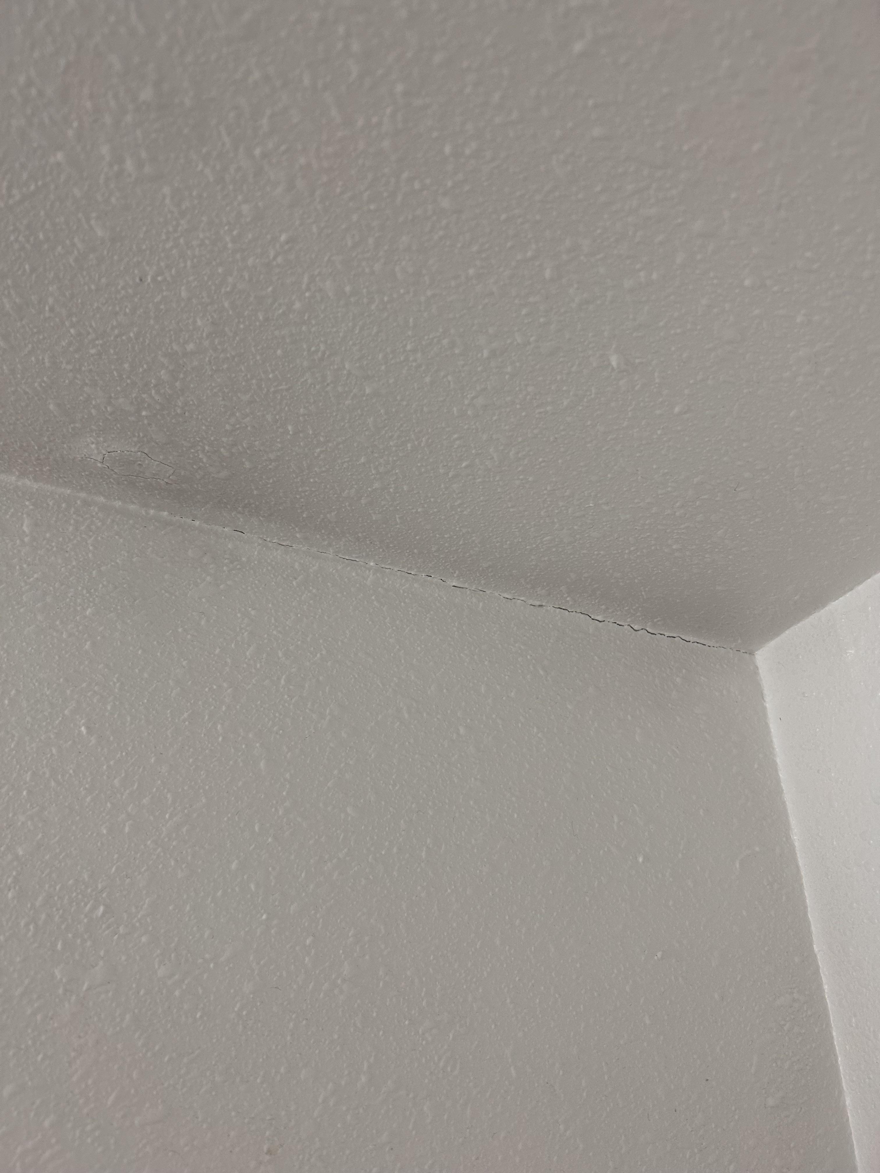 Bathroom ceiling | Scrolller