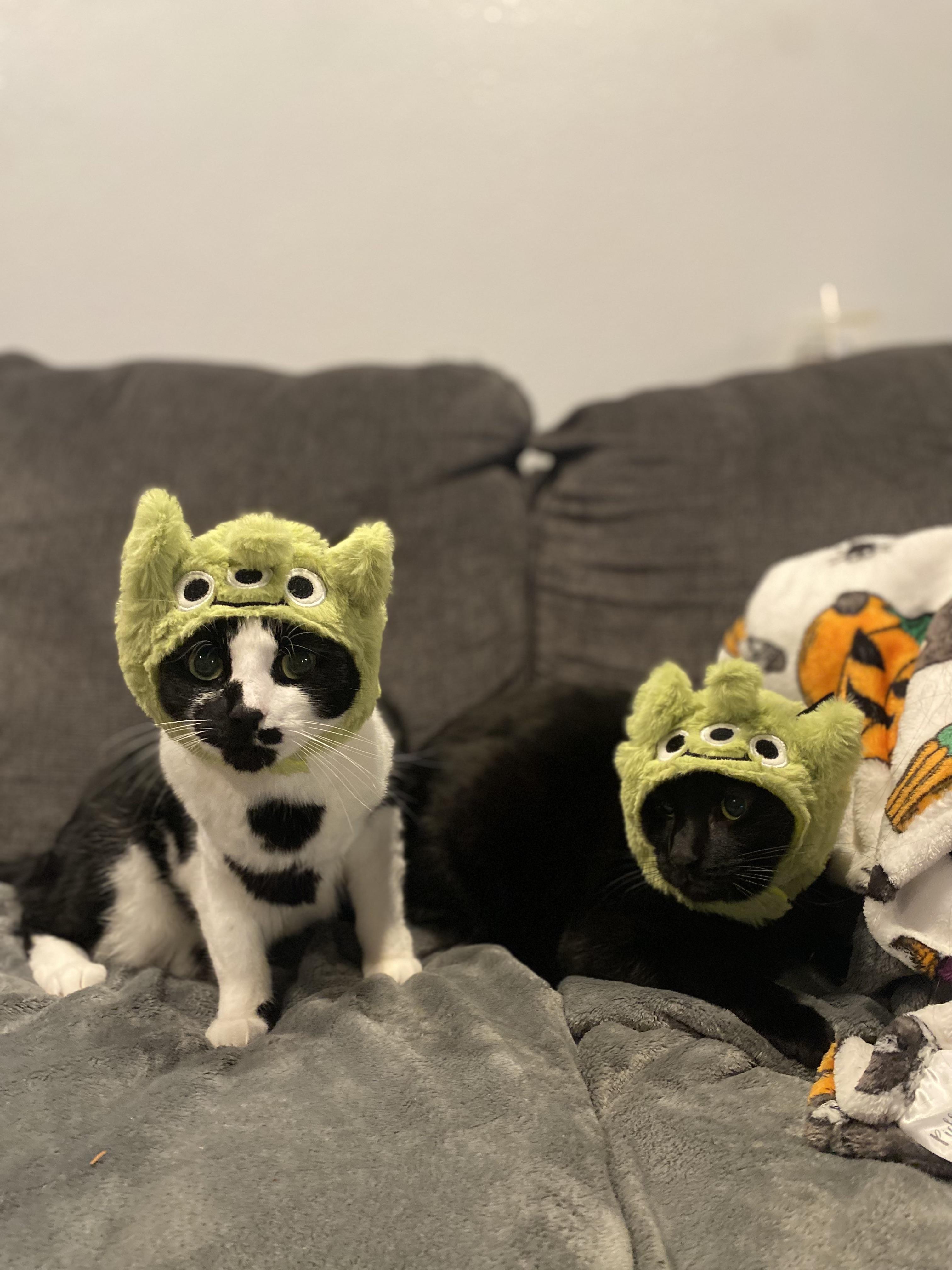 The claw | Scrolller