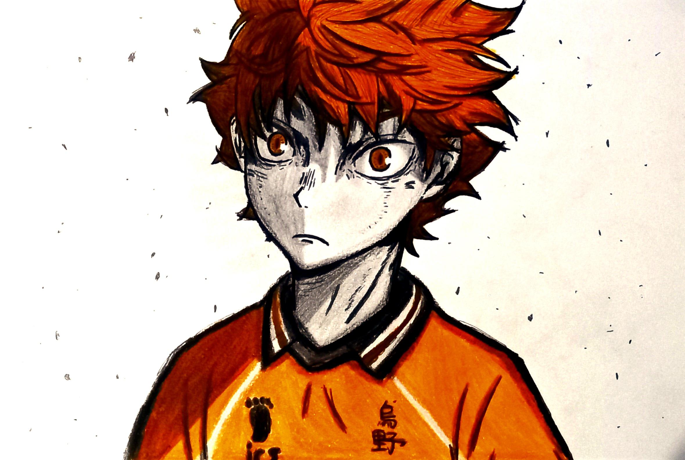 Fanart Hinata Shoyo Haikyuu!! Final | Scrolller