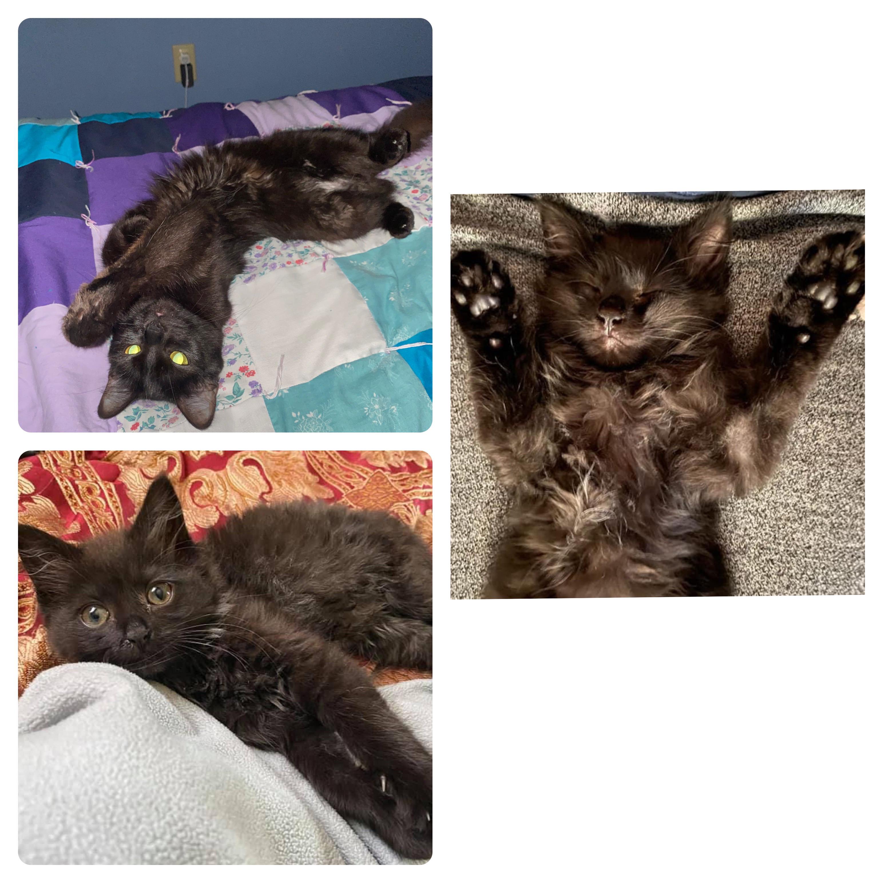 Anyone else have a perma void? | Scrolller