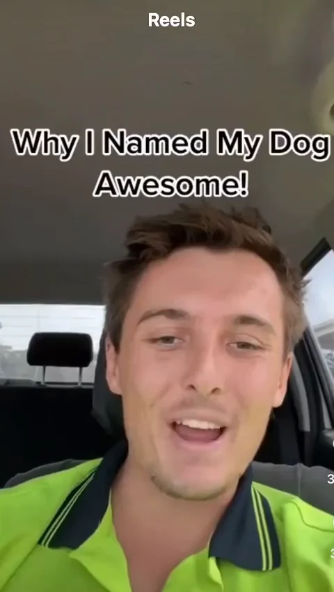 Fucking awesome! | Scrolller