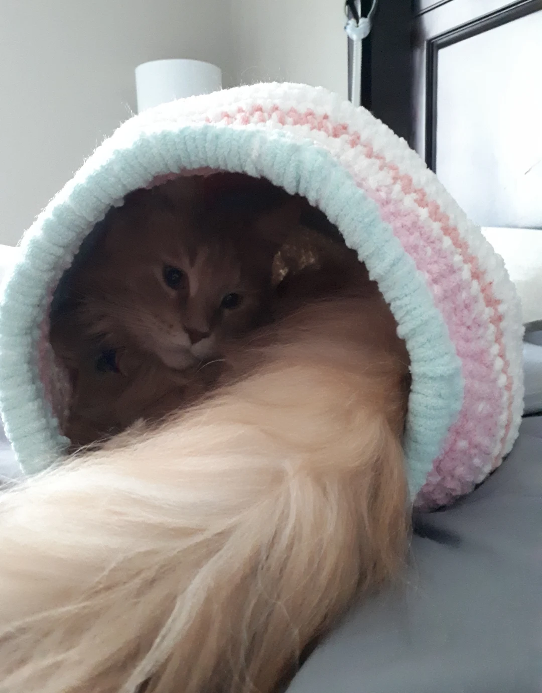 Snuggle time | Scrolller