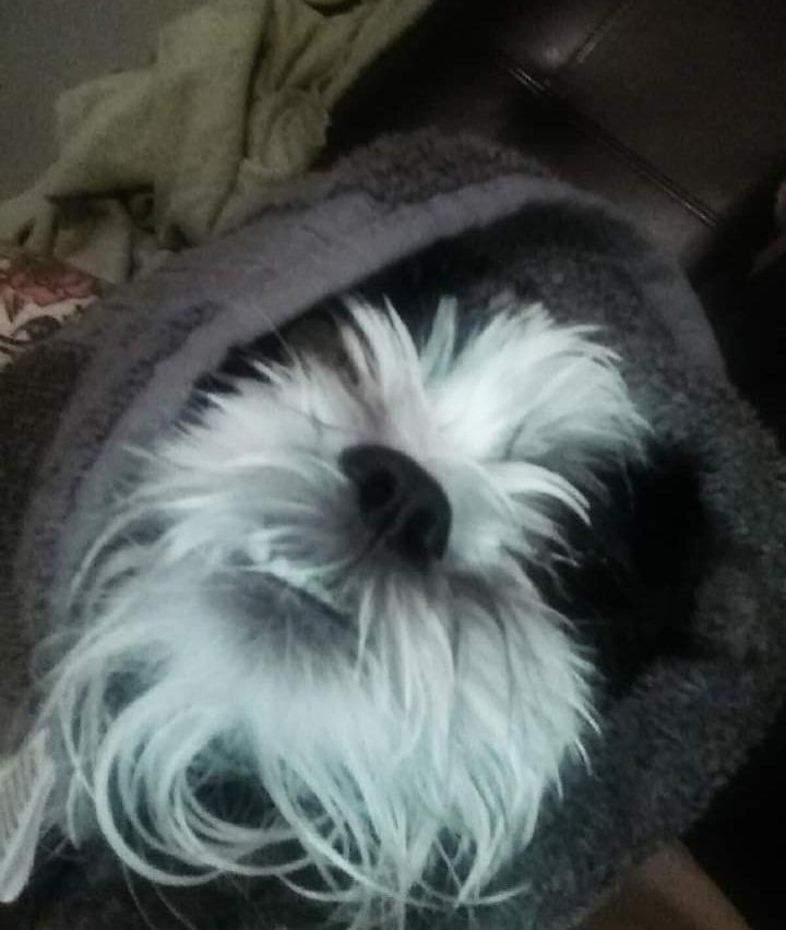 Post bath towel cuddles | Scrolller