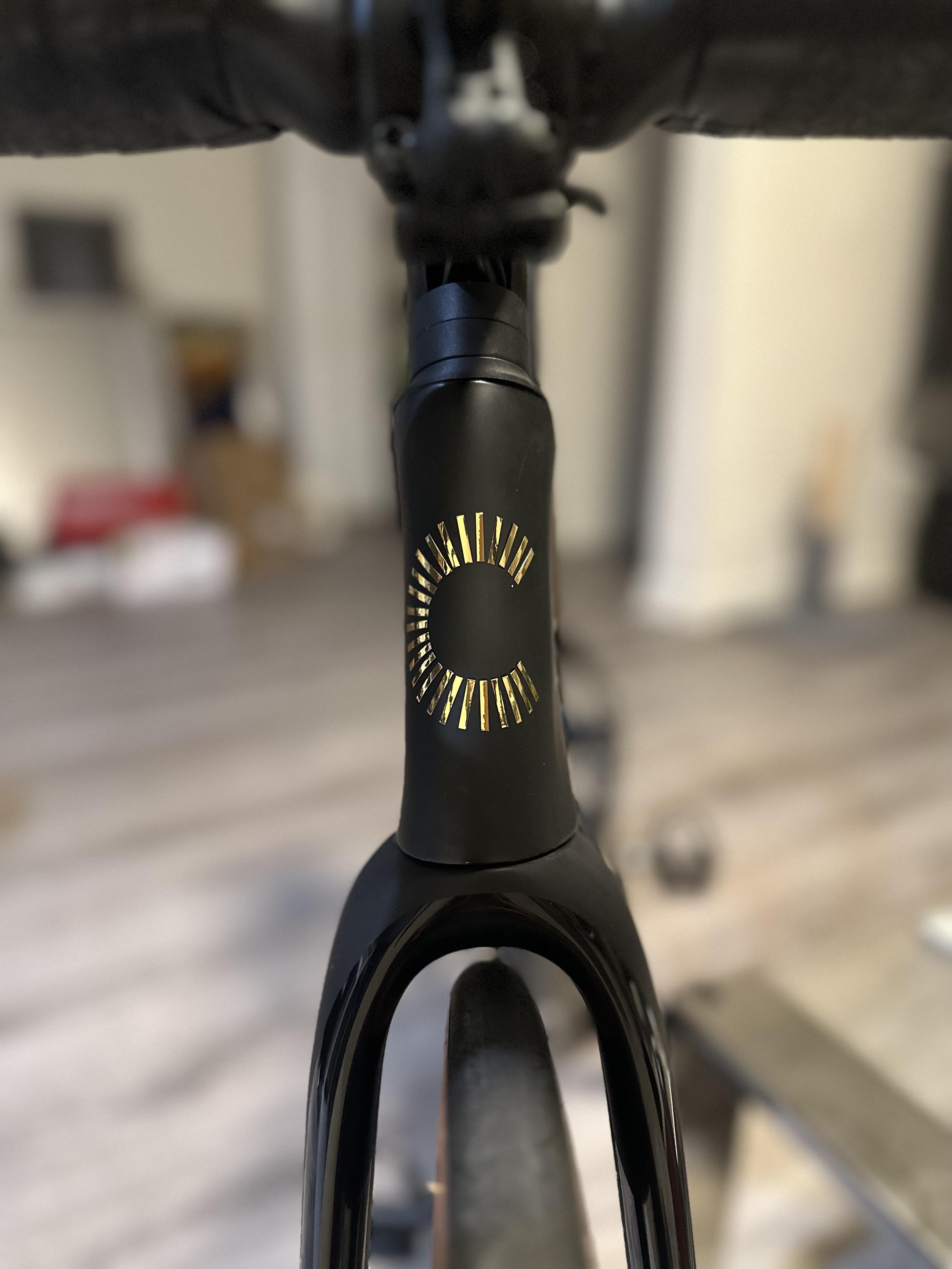 1/1 lab? | Scrolller