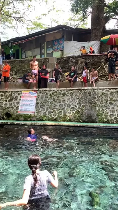 Perfect Dive | Scrolller