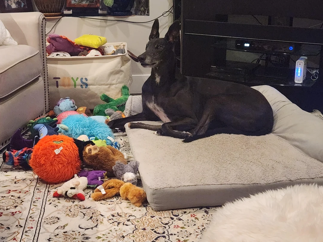 Drama Noodle | Scrolller