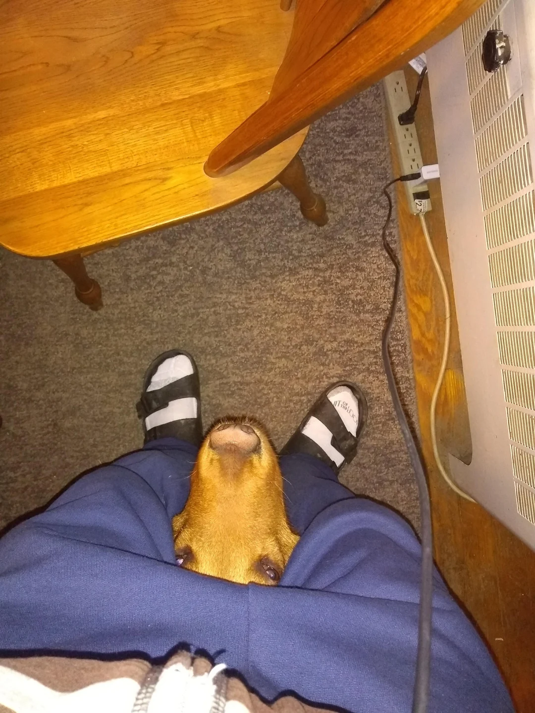 so...yeah | Scrolller