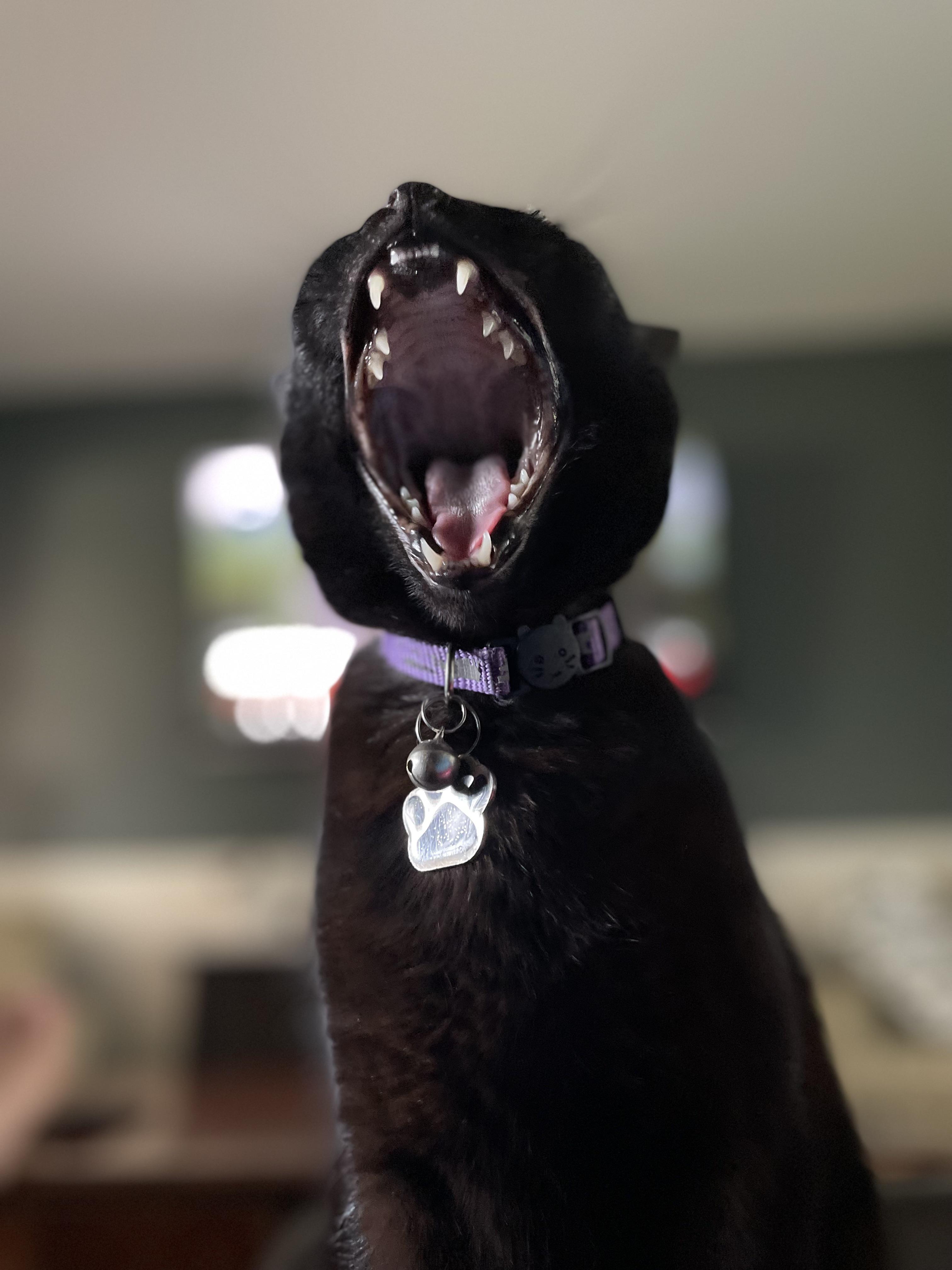 Void within the void | Scrolller