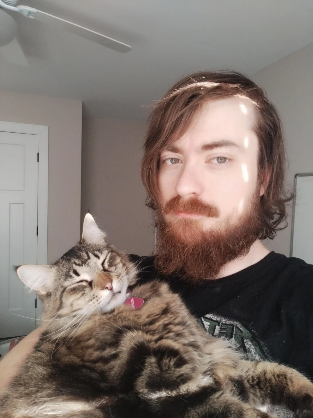 Sleepy floof | Scrolller