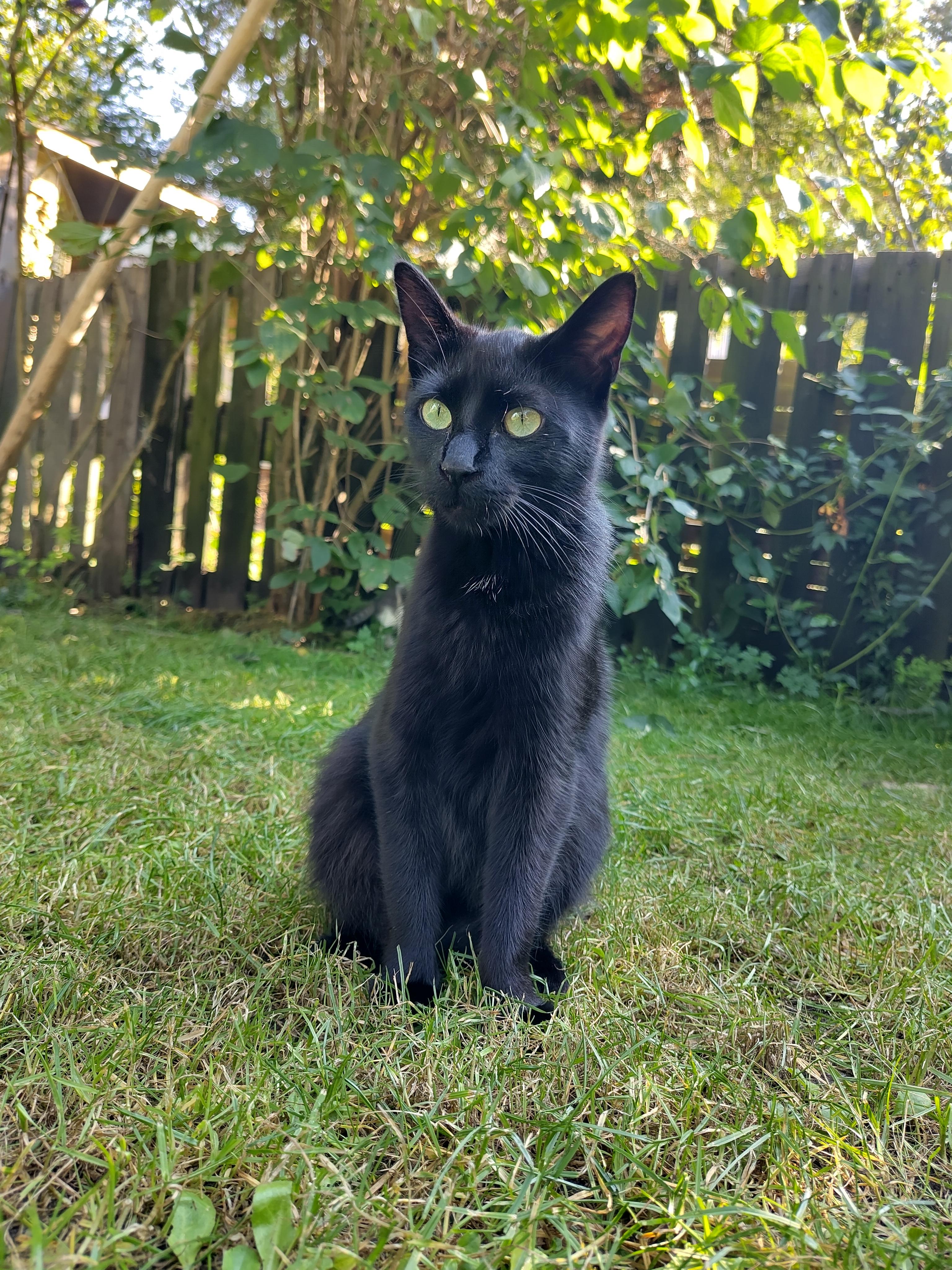 Iz I still void? | Scrolller