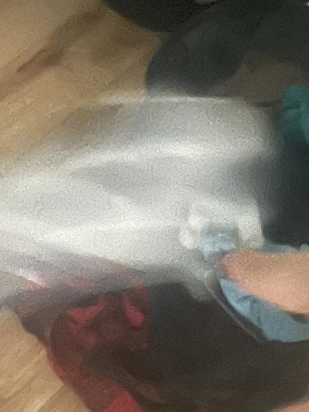 blurry picture of a cat | Scrolller