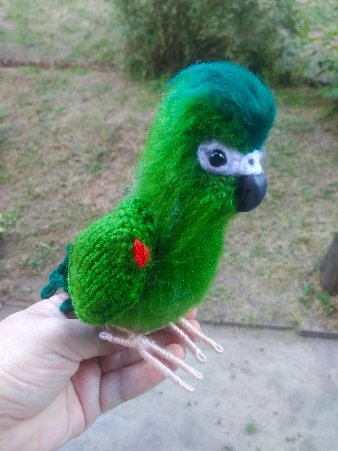 Green parrot | Scrolller