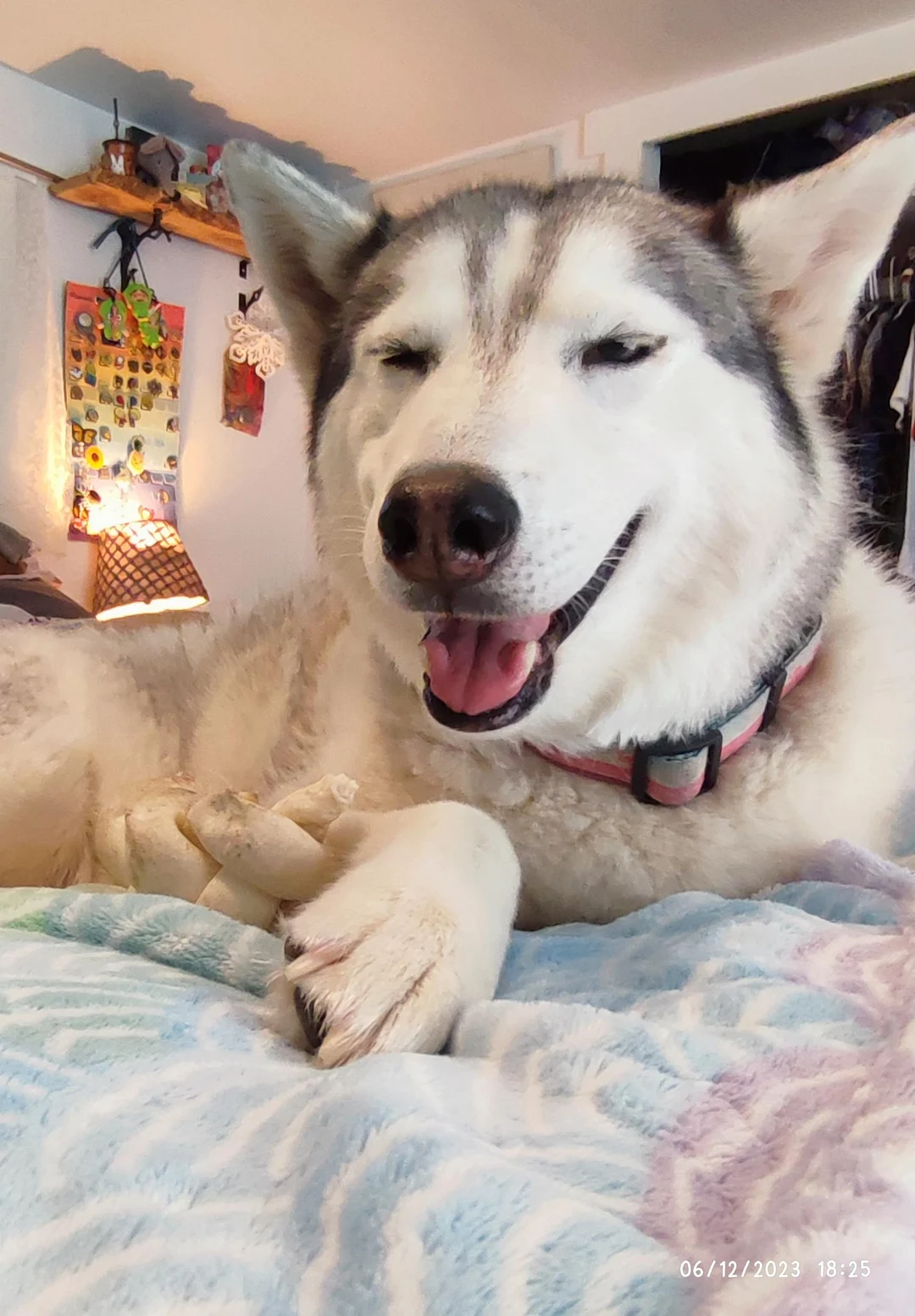 Luna June giving such a sweet derpy little smile ... | Scrolller