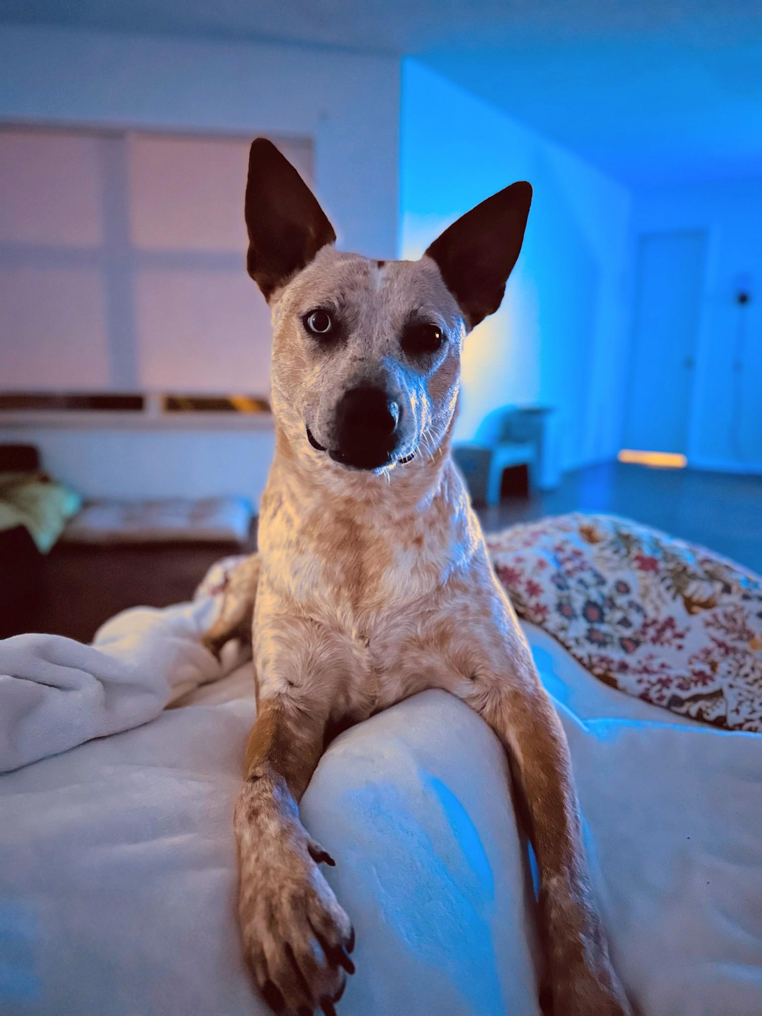 Heather. | Scrolller