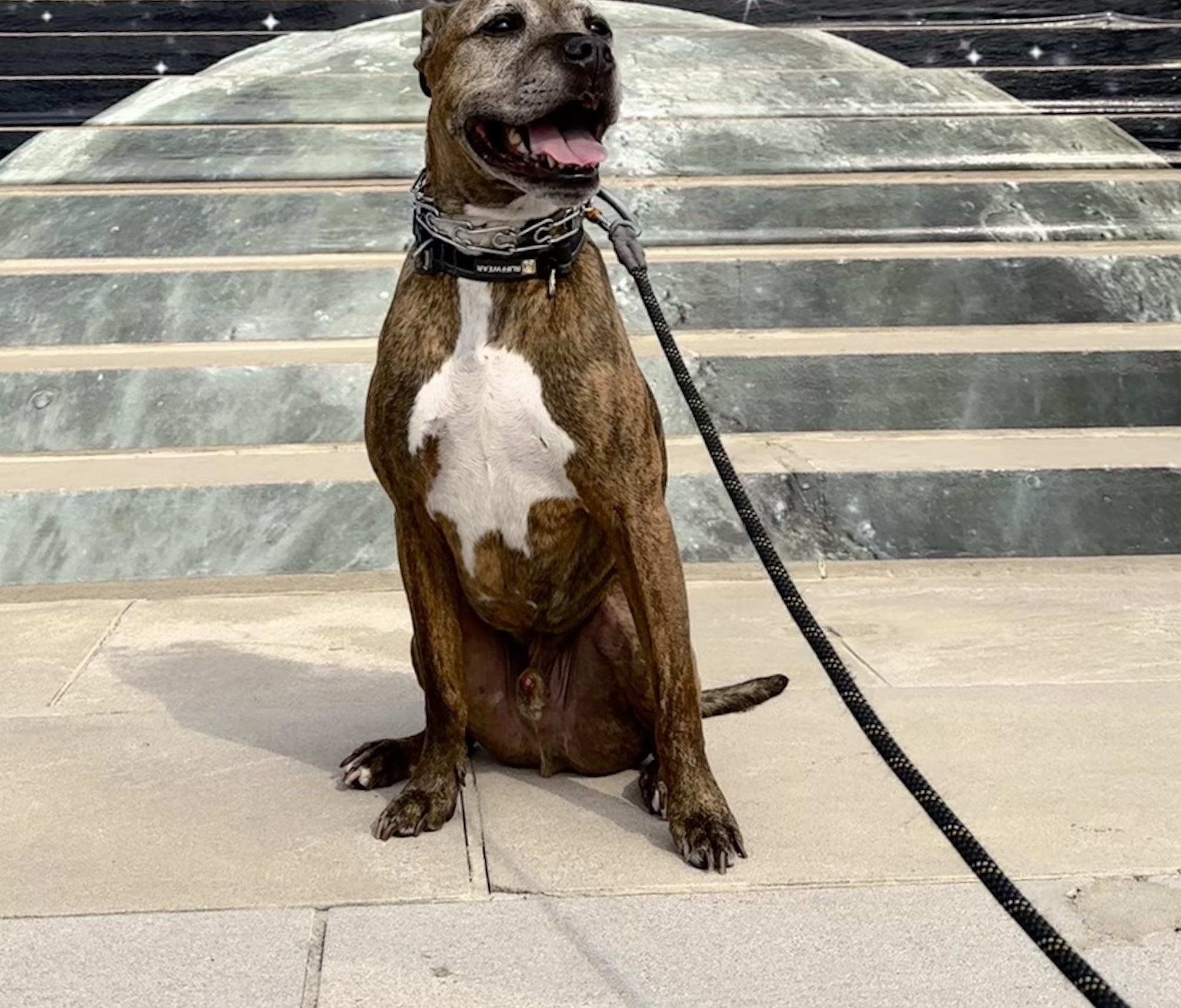 Meet Jeff | Scrolller