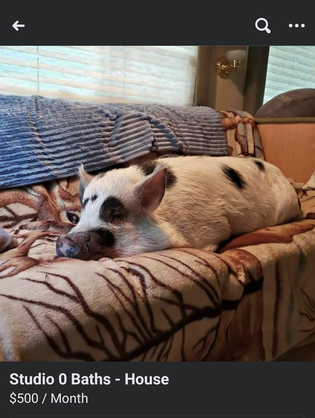 Studio 0 Baths - House | Scrolller