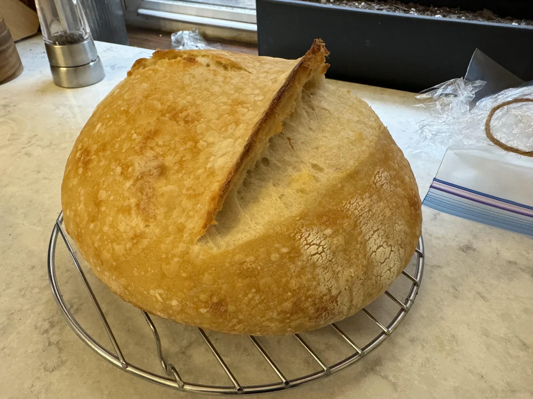 First attempt at making sourdough! | Scrolller