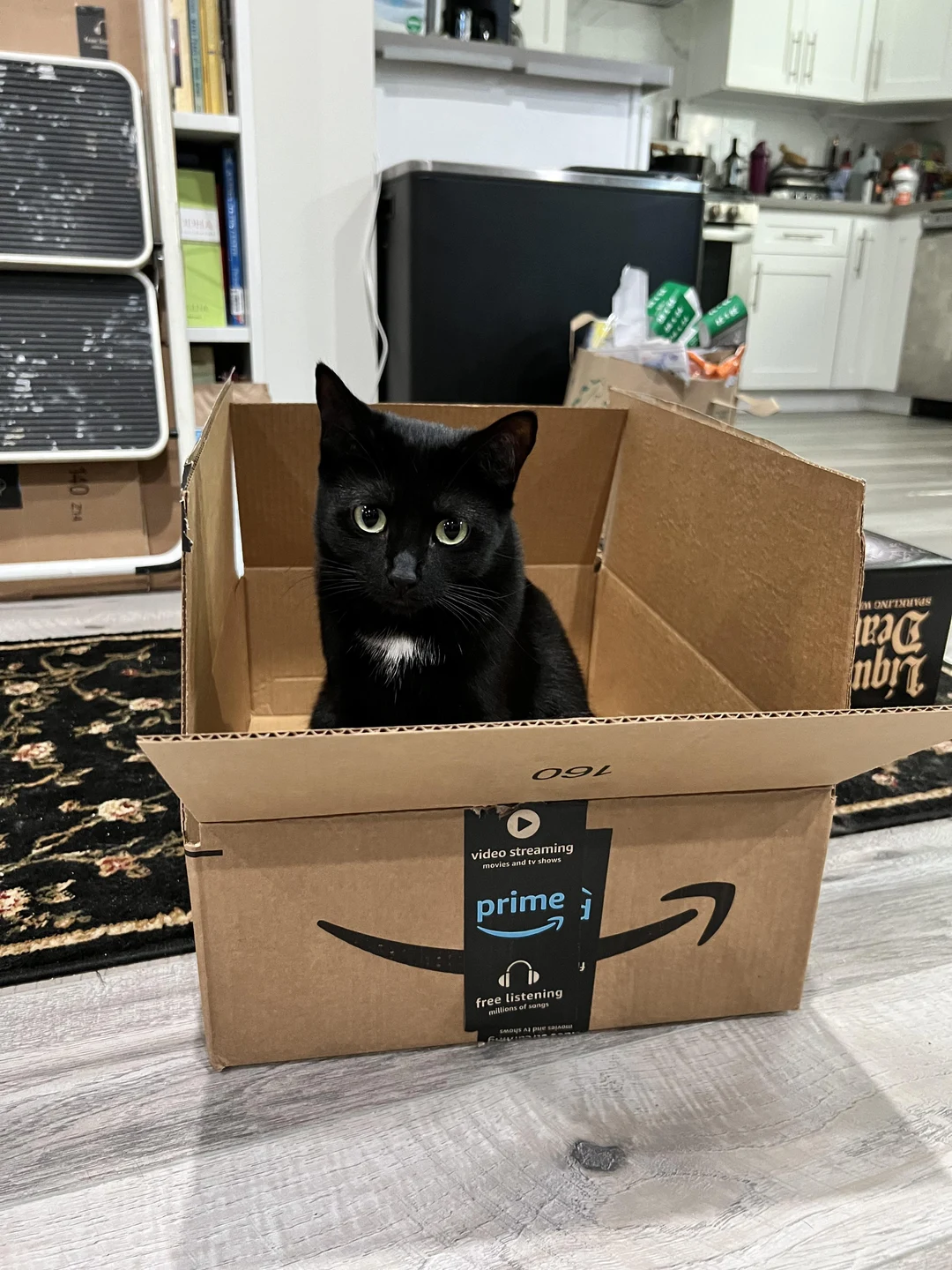 She kinda looks disinterested here, but she LOVES the Amazon cat traps. | Scrolller