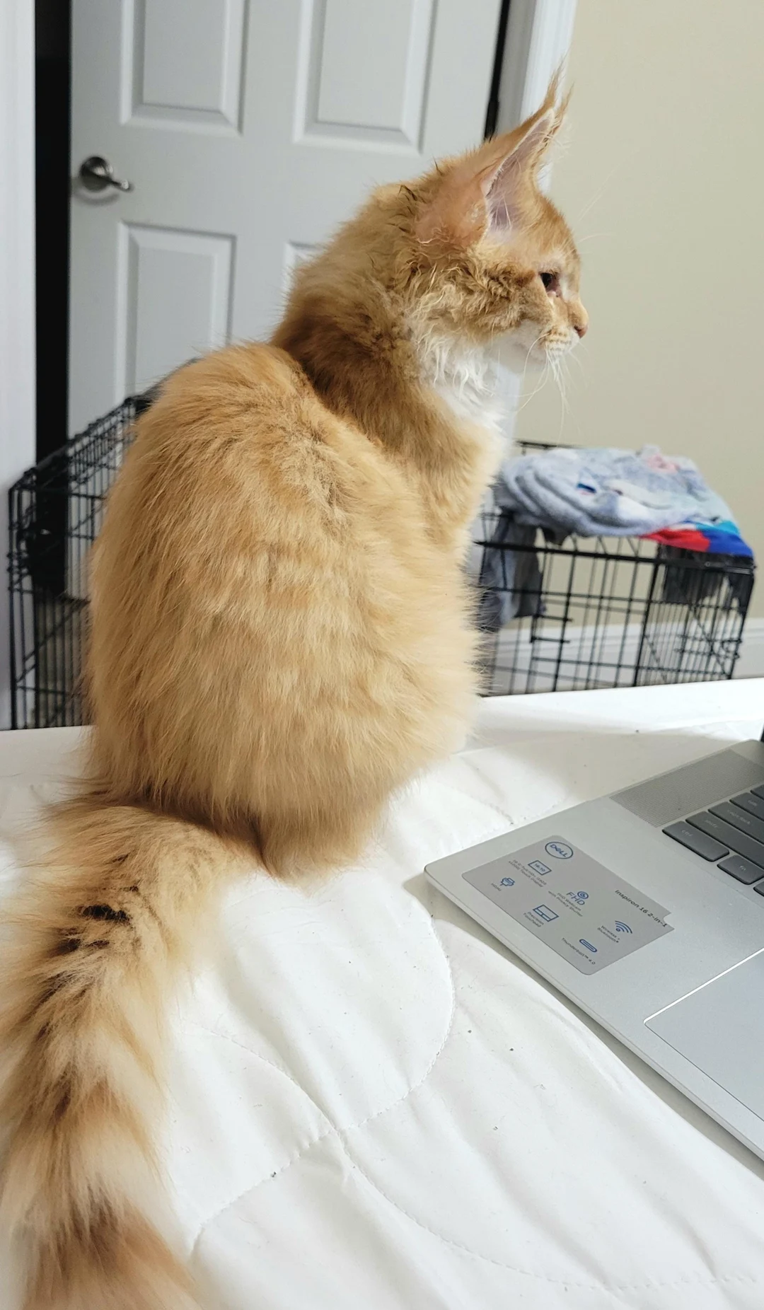 He's growing so fast | Scrolller