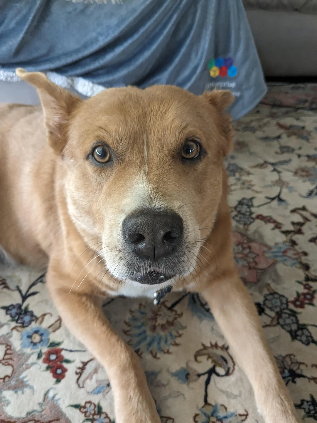 Meet Luke a car accident survivor | Scrolller