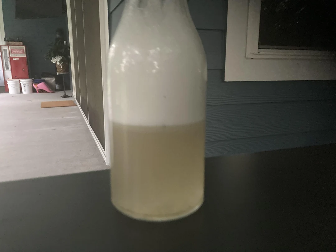 Here’s some shampoo I made | Scrolller