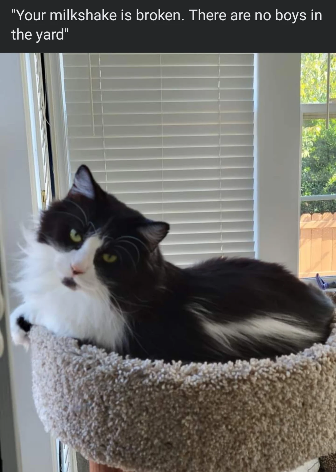 Throwing shade | Scrolller