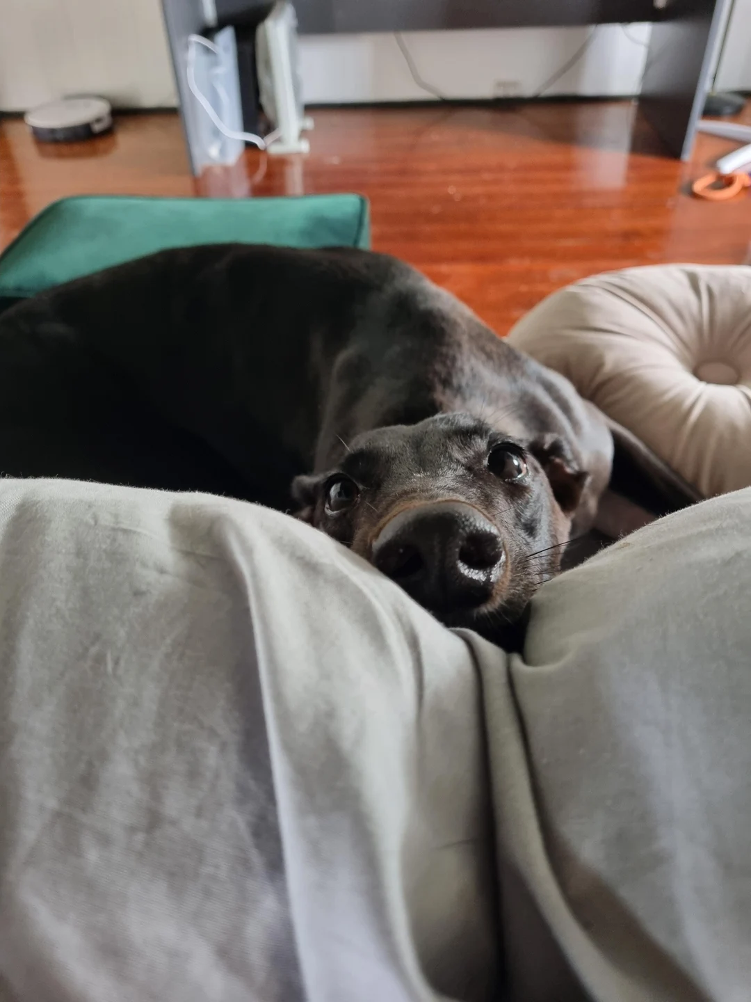 Butter wouldn't melt in her mouth. | Scrolller