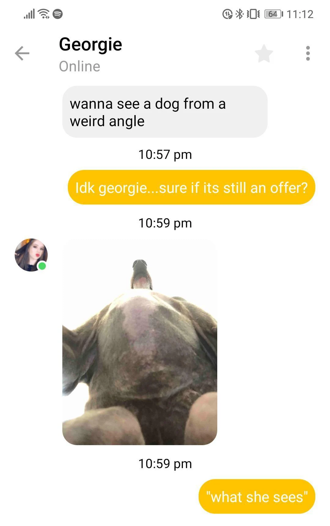 Cursed doggo | Scrolller