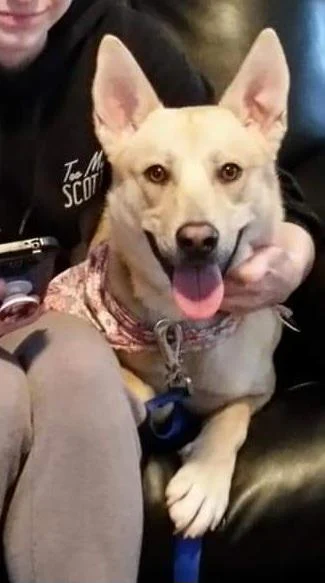 Happy Gotcha Day to Bubbles | Scrolller