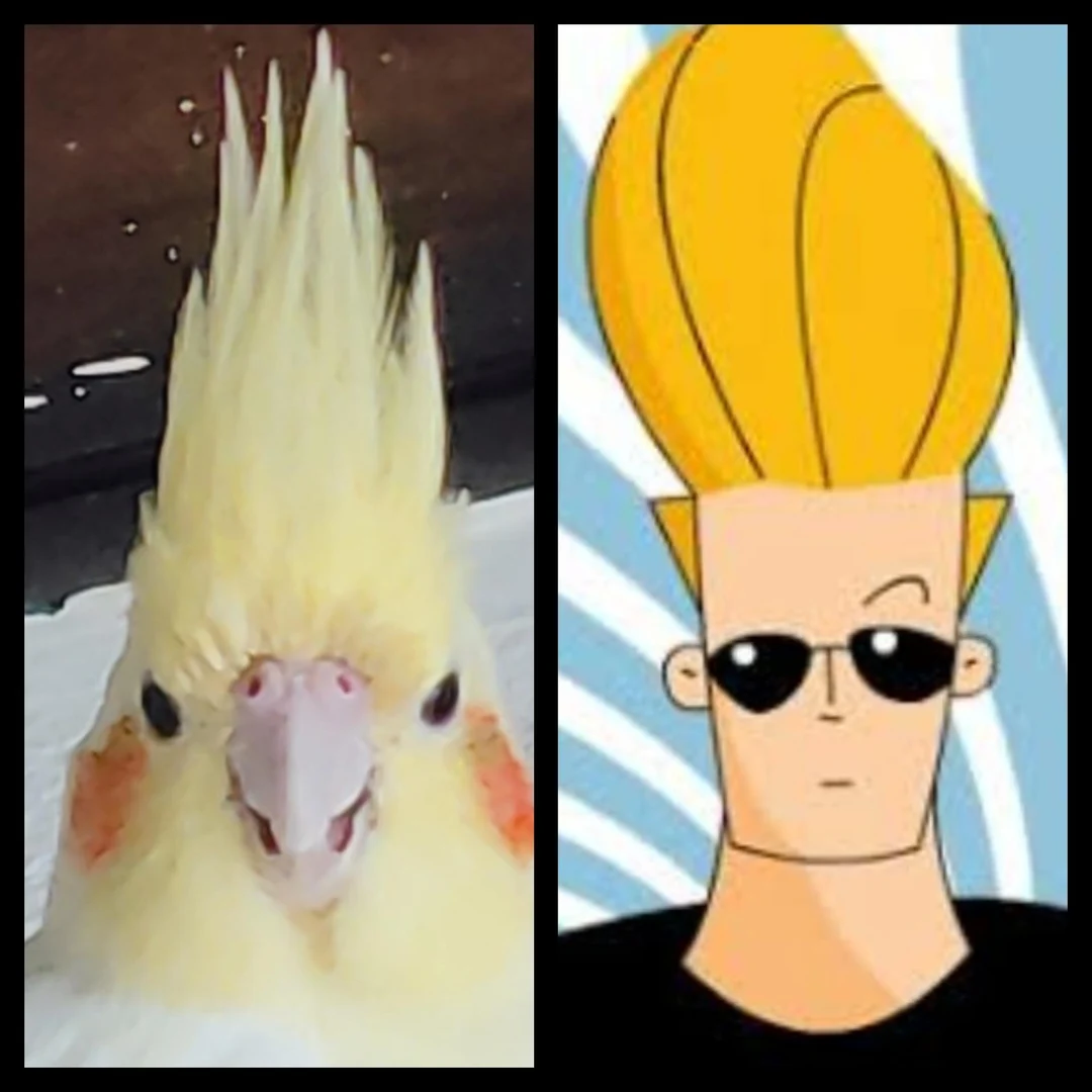 I see no difference. | Scrolller