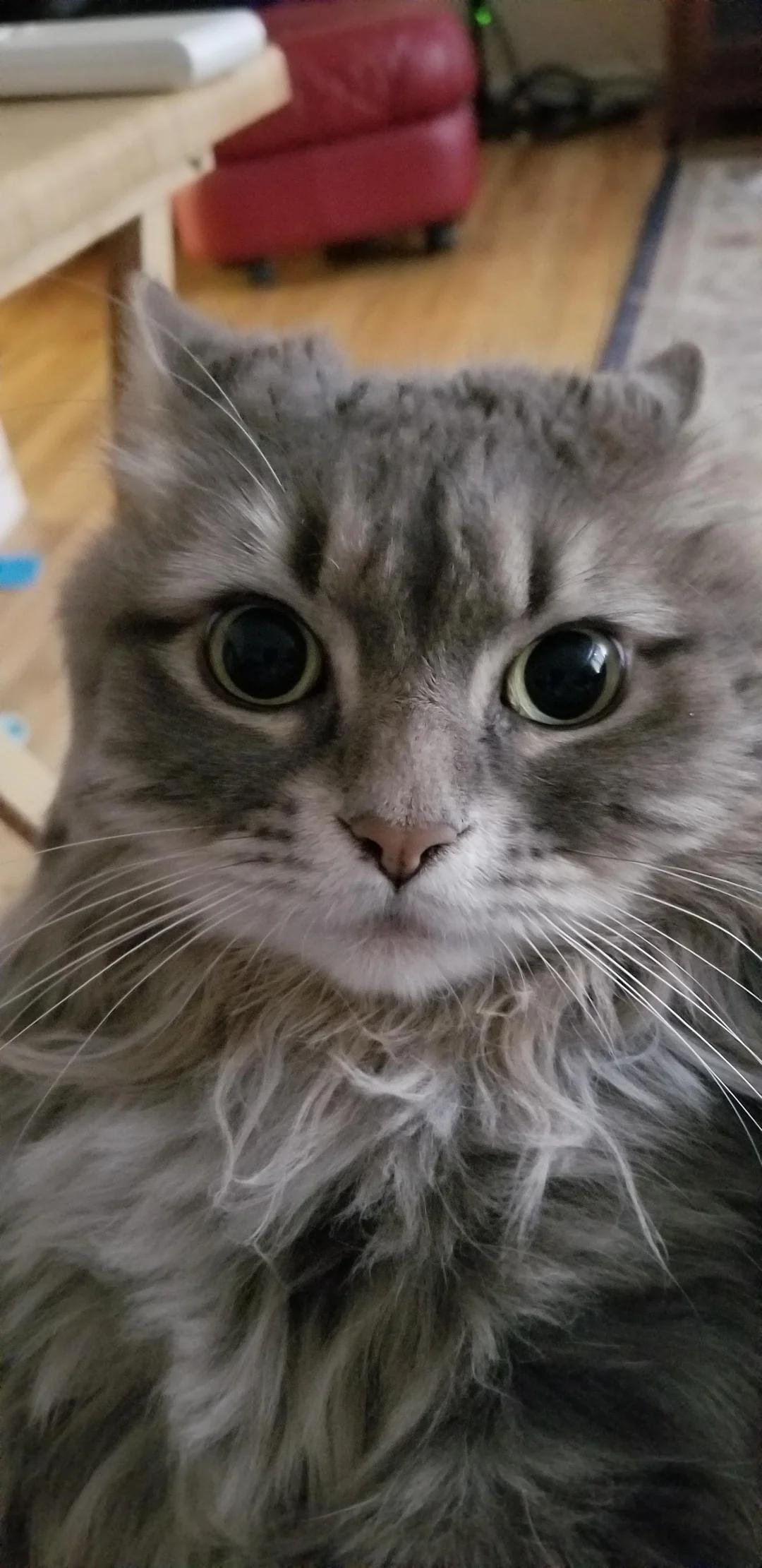 What da hell?? | Scrolller