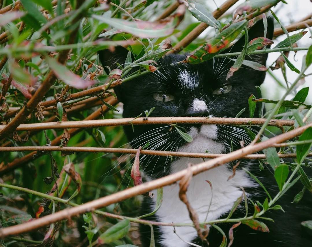 Stalking | Scrolller