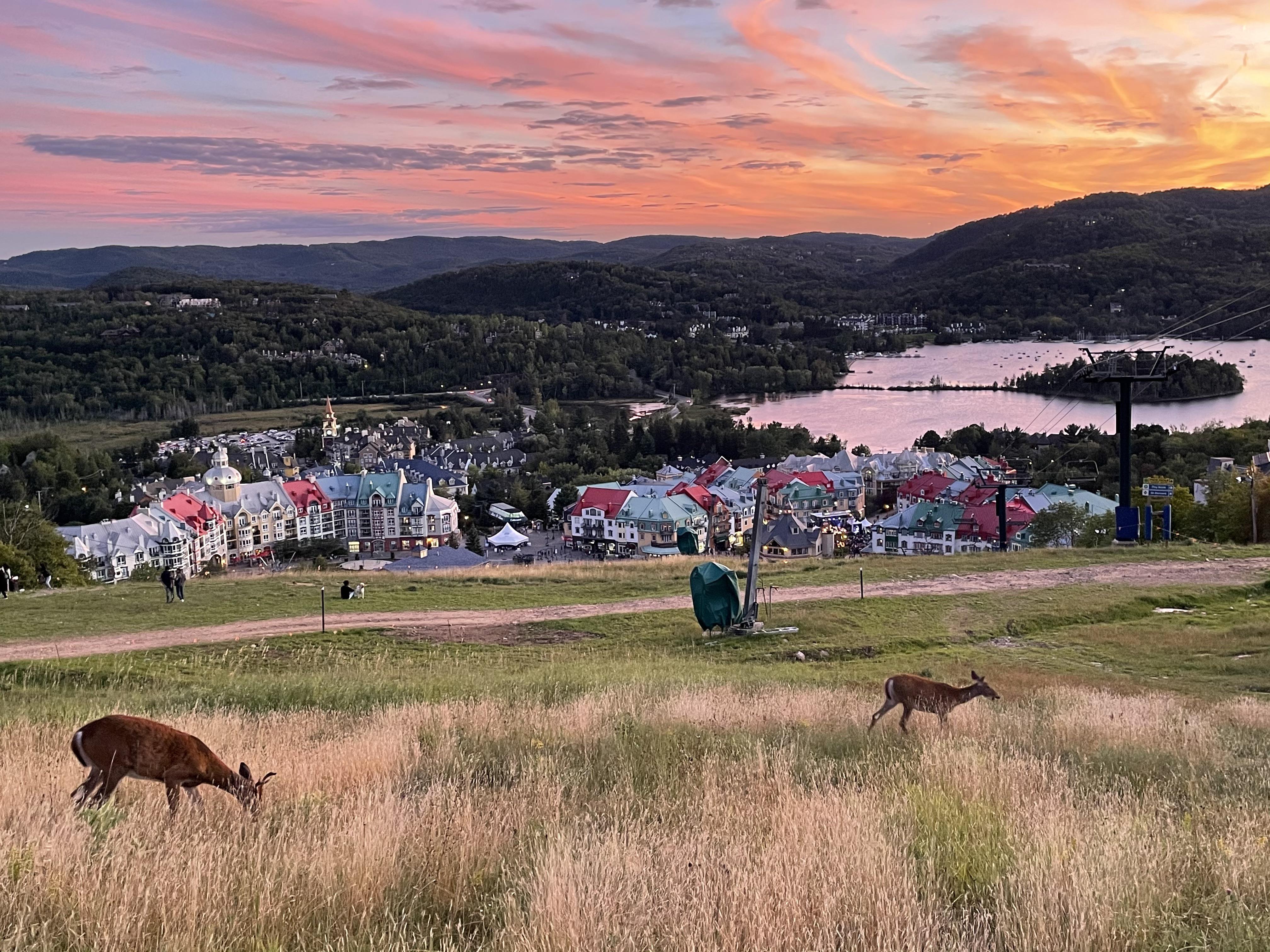 Sunset Amigos at Tremblant | Scrolller