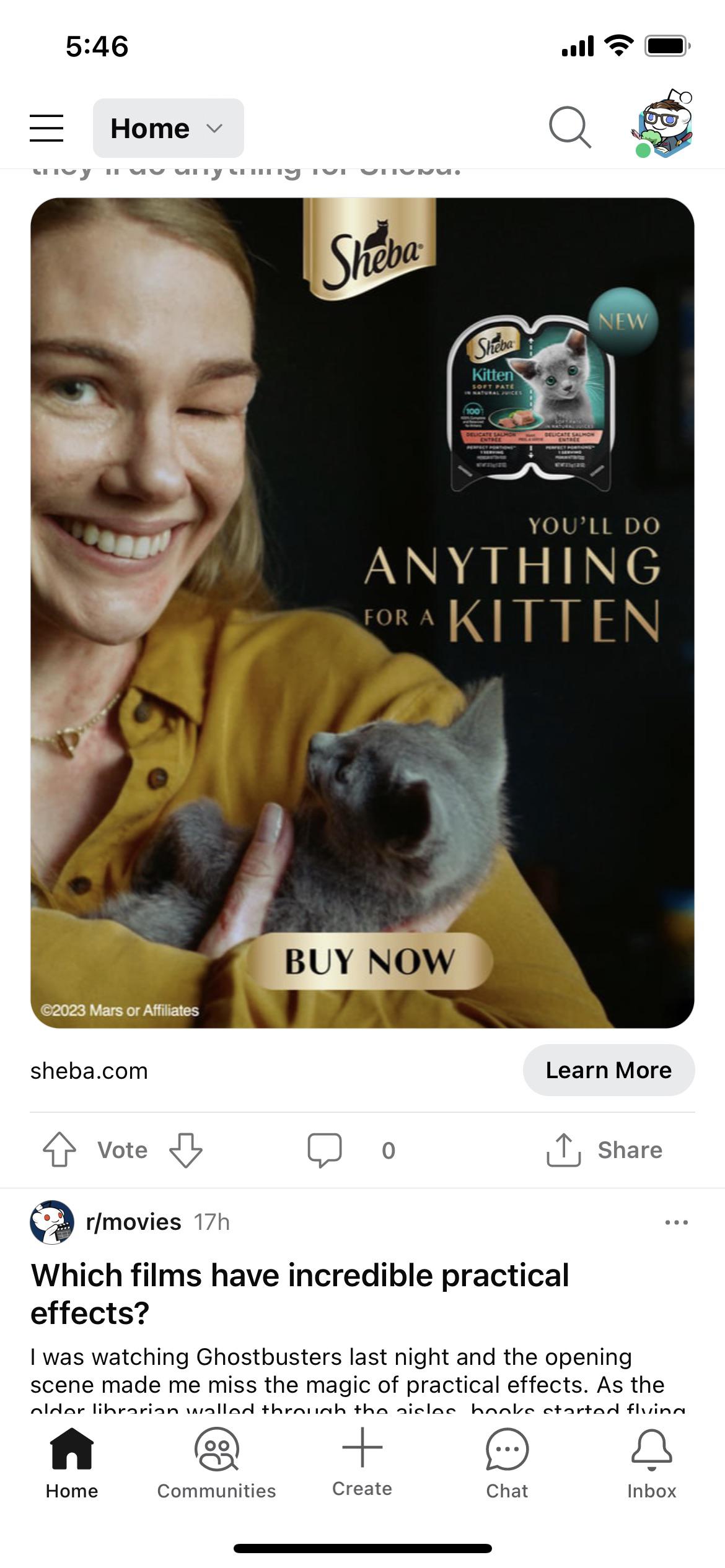 Did the cat give her pink eye? | Scrolller