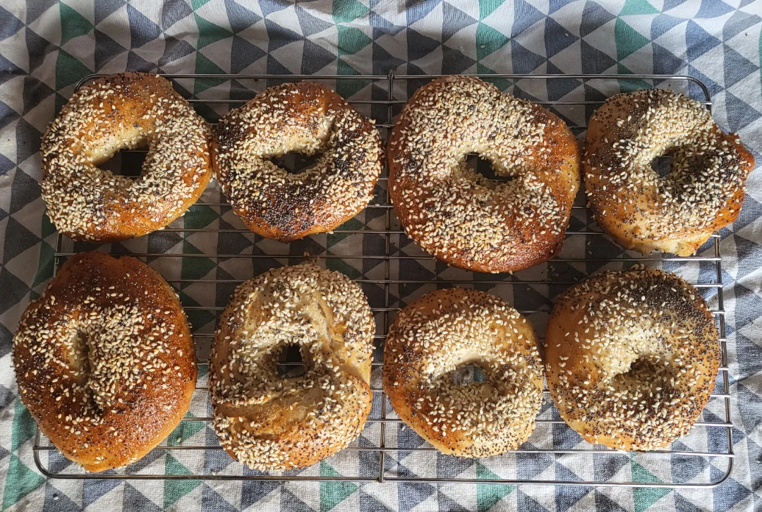 Discover more like Breadit: Today's bagels and Related Content | Scrolller