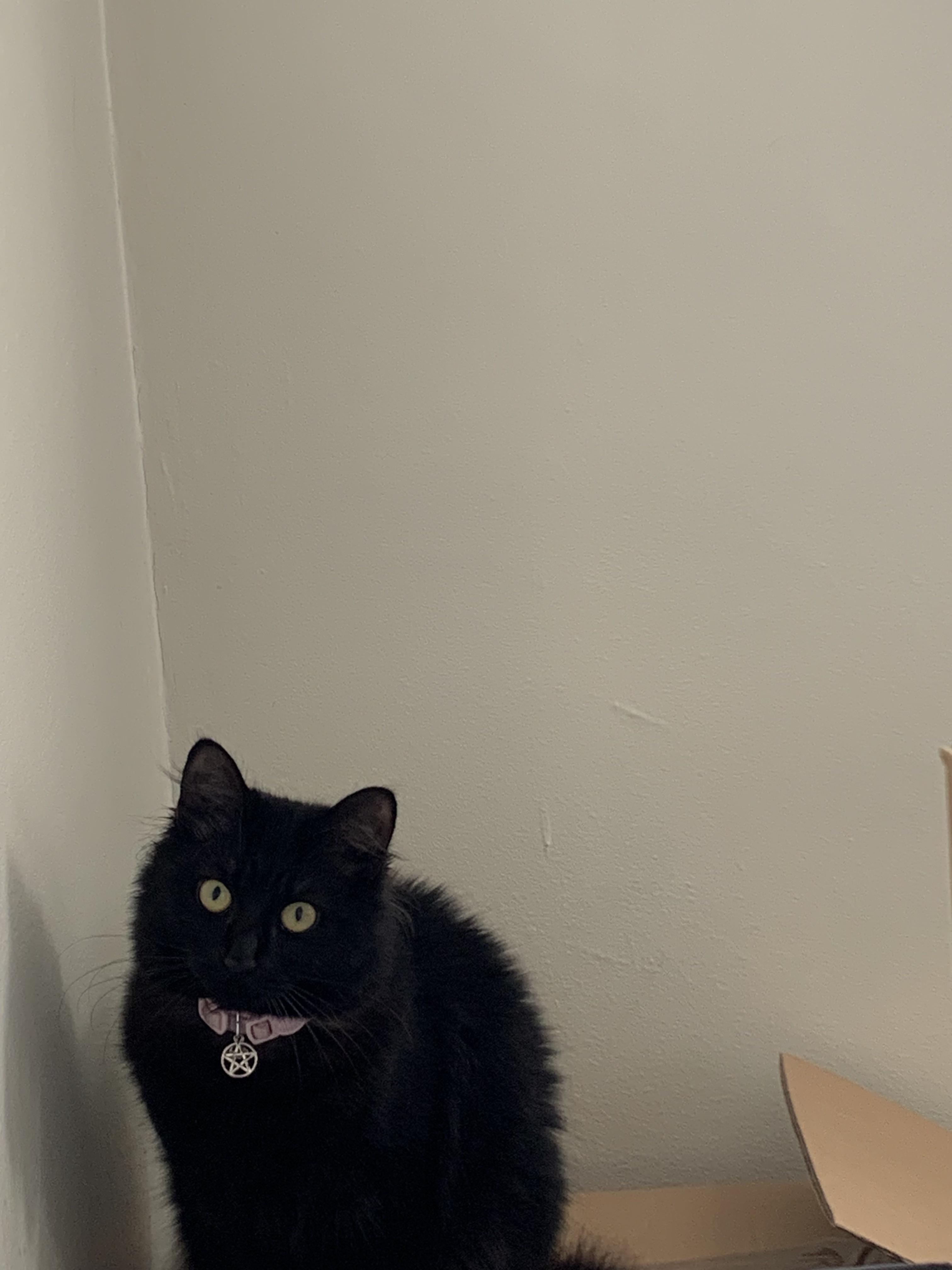 moving in day ft binx :> | Scrolller