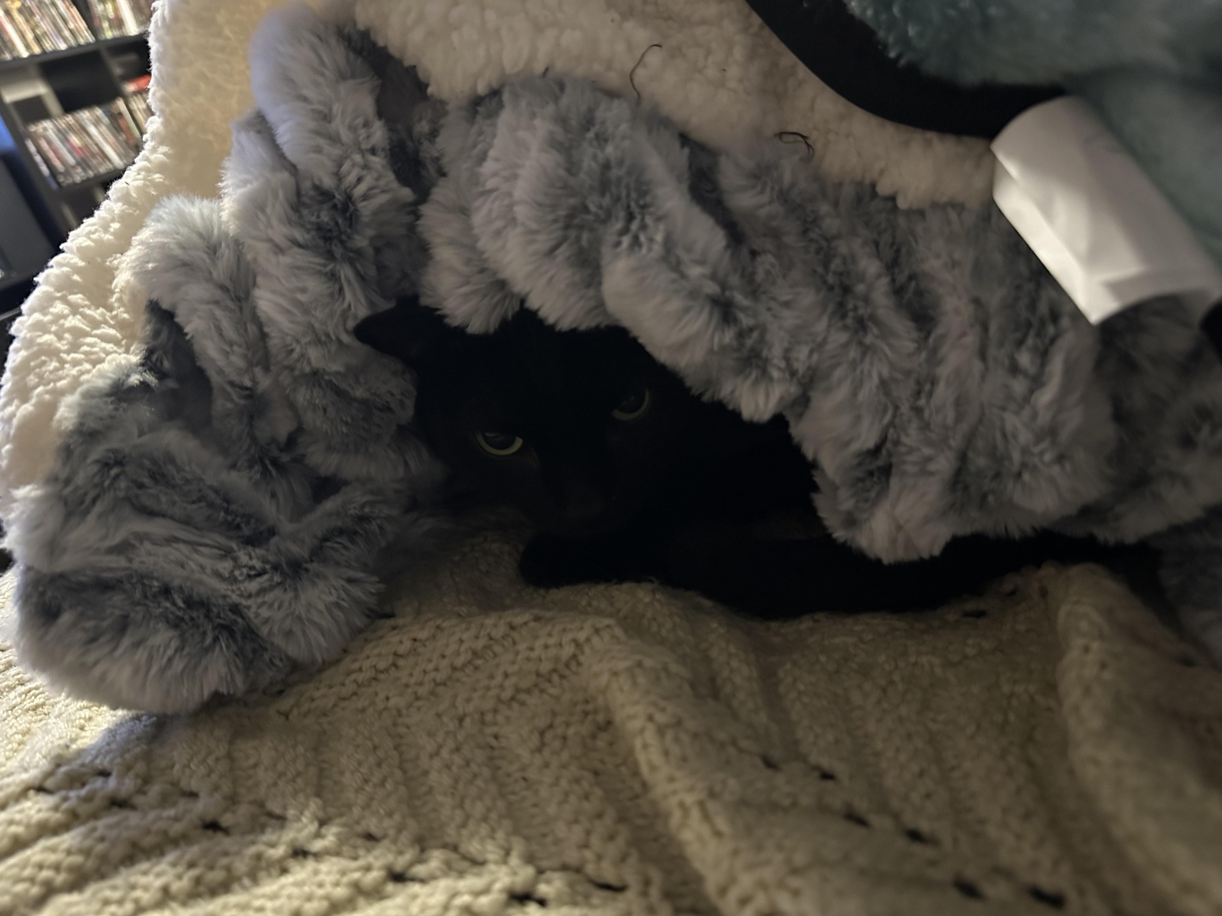 Cozy void | Scrolller